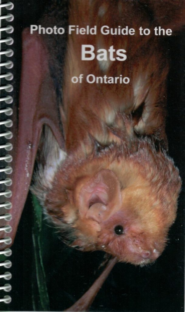 Publications: For Sale – Nature London