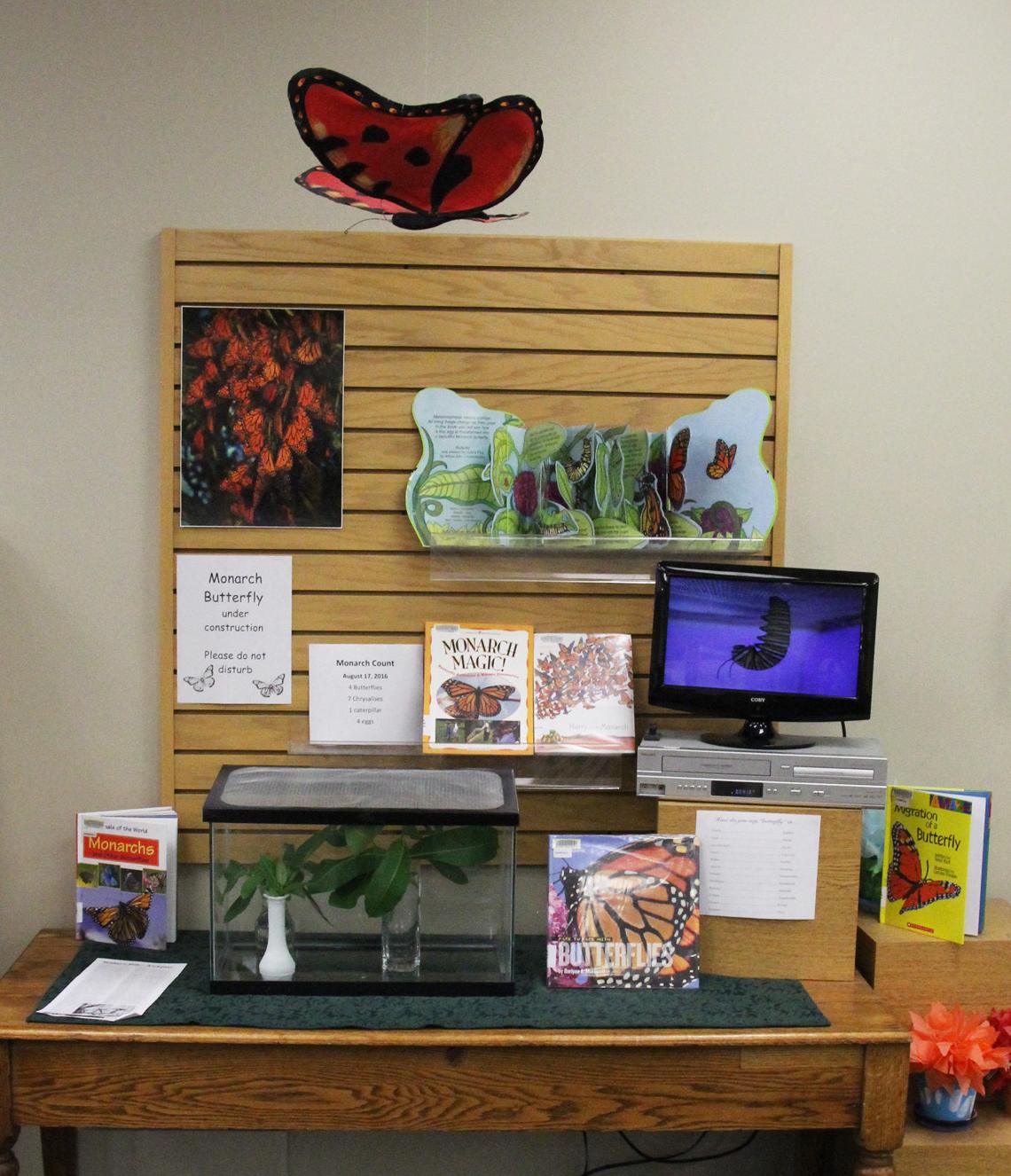 Nature London Enviro Hero Award – Nature London