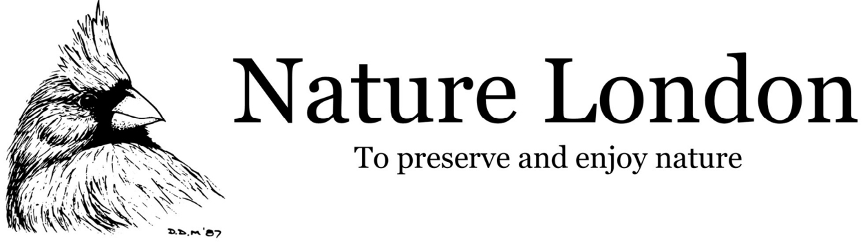 Nature London – To preserve and enjoy nature
